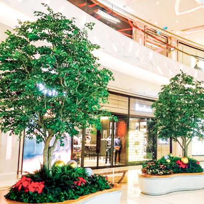 China Mirada natural de los ficus del estilo de B del árbol de la altura del centro comercial del árbol de encargo artificial grande del follaje en venta