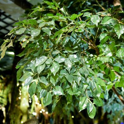 China Mirada natural de los ficus del estilo de B del árbol de la altura del centro comercial del árbol de encargo artificial grande del follaje en venta