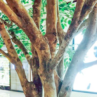 China Mirada natural de los ficus del estilo de B del árbol de la altura del centro comercial del árbol de encargo artificial grande del follaje en venta