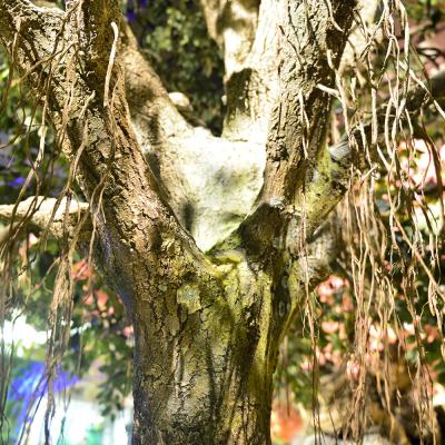 China 2m Artificial Landscape Trees Large Ficus C Style Custom Height Exibition Hall Foliage Tree for sale