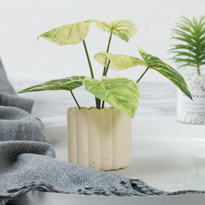 China De sier Kleine Installaties Philodendron Birkin van de Punten Kunstmatige Ingemaakte Vloer Te koop