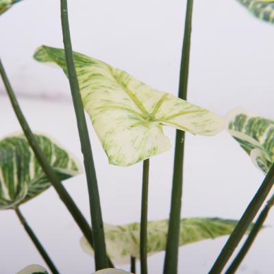 China De sier Kleine Installaties Philodendron Birkin van de Punten Kunstmatige Ingemaakte Vloer Te koop