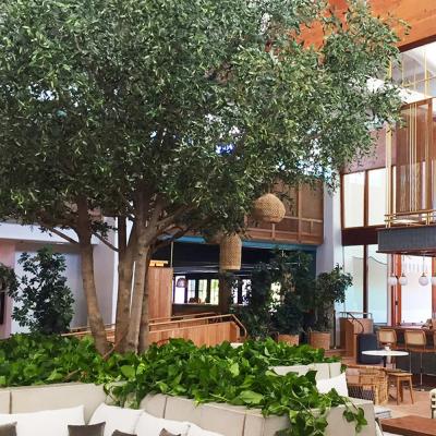 China 20m Höhe künstliche Olive Tree Custom Shape Natural, die Frabric-Blätter schaut zu verkaufen
