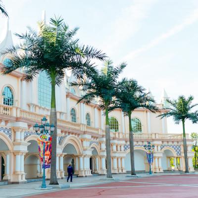 Cina decorazione all'aperto del paesaggio di 4m degli alberi dell'albero artificiale del cocco in vendita