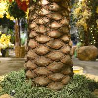 China Custom Artificial Date Tree For Theme Park Hotels Easy To Install Low Maintenance for sale