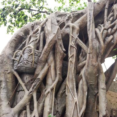 China 3m de Kunstmatige Grote Ficus die van Landschapsbomen Een eeuw oude Bomen met Oude Wijnstokken Speciale Vorm simuleren Te koop