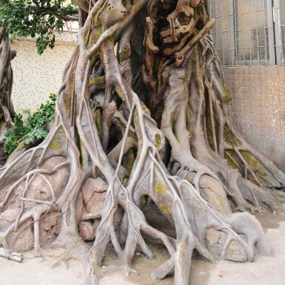 China 3m de Kunstmatige Grote Ficus die van Landschapsbomen Een eeuw oude Bomen met Oude Wijnstokken Speciale Vorm simuleren Te koop