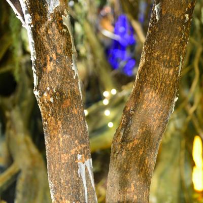 China Artificial Indoor Banyan Tree Evergreen Leaves No Water Faux Tree No Pest Plants for sale