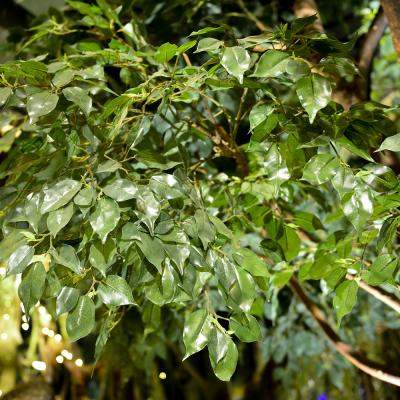 China Artificial Indoor Banyan Tree Evergreen Leaves No Water Faux Tree No Pest Plants for sale