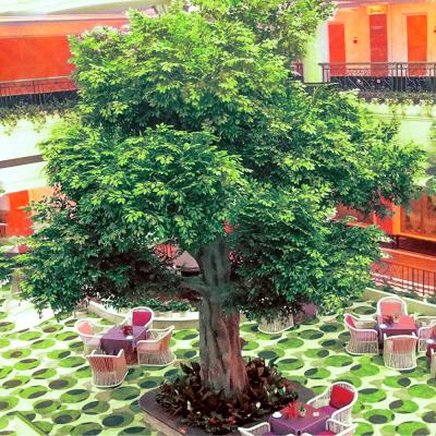 China De echte de Boompu Altijdgroene Bladeren van Aanrakings Kunstmatige Banyan simuleerden hoogst Boomstam Geen Ongedierteinstallaties Te koop
