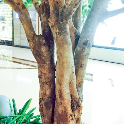 China Large Ficus Foliage Artificial Landscape Trees With Lush Green Leaves No Sunlight for sale