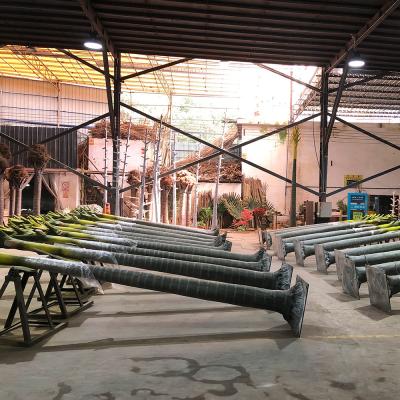 중국 야외 행사를 위한 맞춘 높이 3-30m 상록 인공 코코넛 야자나무 판매용