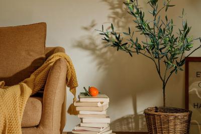 China Artificial Indoor Potted Plant Olive Tree 120cm 160cm No Maintennance Floor Plant à venda