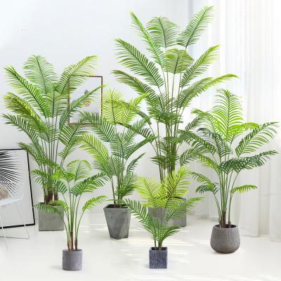 China Ziet het Binnen Ingemaakte Decor van PONY Artificial Floor Palm Tree Geen Natuurlijk Water eruit for sale