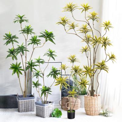 Китай Дерево искусственного в форме особенн офиса гостиницы deco зеленого цвета дерева Reflexa dracaena домашнего в горшке продается