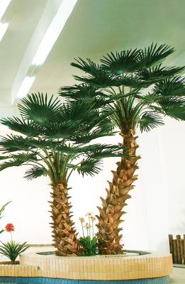 China UVmeter der Washington Coconut Artificial Landscape Trees-Hotel-Restaurant-Antilanger Lebensdauer-2-10 zu verkaufen