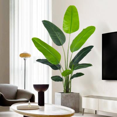 China Multiple sizes Tall Bird of Paradise Artificial Tree  with Large Trunks and Realistic Leaves Big Faux Floor Potted Plants Fake Silk Plants for Home Office Living Room Decor Indoor for sale