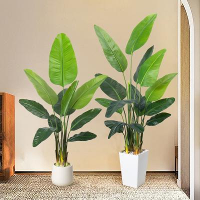 China Artificial Bird of Paradise Plant 6.8FT - Luxury Faux Palm Tree in White Planter for Indoor Office Decor for sale