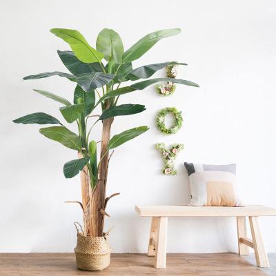 China Wholesale 7 FT Artificial Banana Tree Plant | Natural Bark Trunk | Free Maintenance | Indoor Palm for Living Room & Office Decor for sale