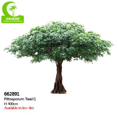 China H400cm Landscape Artificial Trees , Artificial Pittosporum For Amusement Park for sale