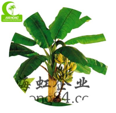 Cina Banano artificiale di alta qualità reale fatta a mano di tocco della fabbrica per la decorazione all'aperto in vendita