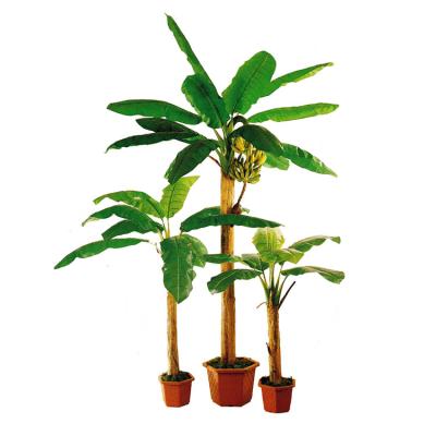 Cina Banano artificiale di alta qualità reale fatta a mano di tocco della fabbrica per la decorazione all'aperto in vendita