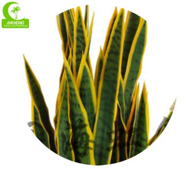 China H100cm Artificial Succulent Plant for sale