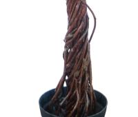 China No Nursing Height 160cm Artificial Topiary Tree For Restaurant for sale