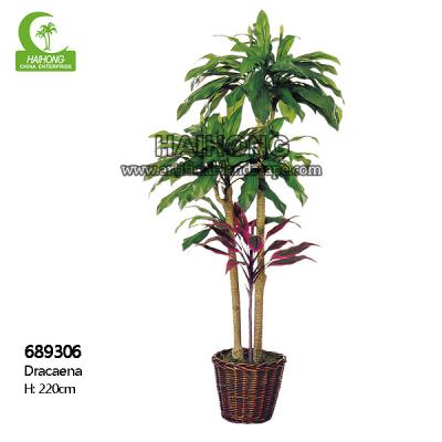 China Decoración los 220cm artificial imponente al por mayor del espacio del árbol del Dracaena para la decoración interior en venta