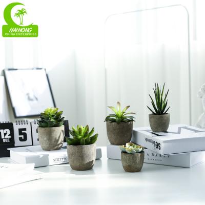 Cina Pianta succulente artificiale reale verde di tocco 11.5cm per il desktop in vendita