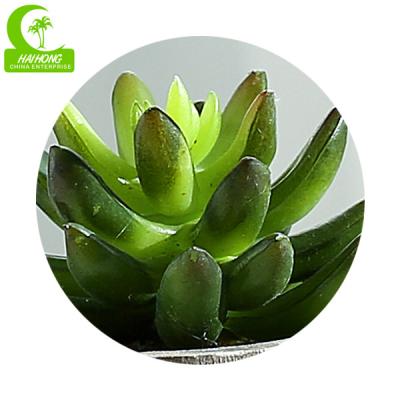 Cina Pianta succulente artificiale reale verde di tocco 11.5cm per il desktop in vendita