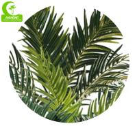 China Large Size 230cm Artificial Coconut Tree For Theme Park Decoration for sale