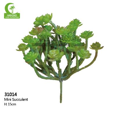 Cina Anti FadingNo che cura pianta succulente artificiale, Mini Fake Succulents 15cm in vendita