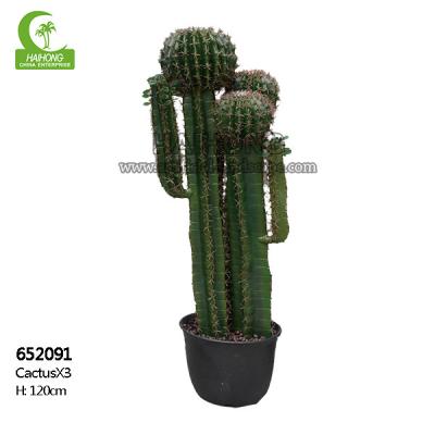 Chine Hautes usines artificielles durables de cactus de la simulation 120cm dans des pots pour d'intérieur à vendre