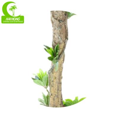 China Anti Langzaam verdwijnende Esthetische 110cm Kunstmatige Podocarpus Boom met Pot Te koop
