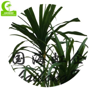 Cina Piccola dimensione conservata in vaso artificiale durevole delle piante del pavimento di altezza 140cm in vendita