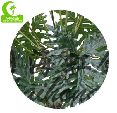 Cina Tutta la pianta artificiale della dracaena di stagione 270cm, pianta di seta della dracaena per abbellire in vendita
