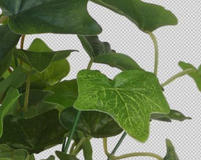 China Fabric And Plastic 36pcs Leaves 36cm Artificial Ivy Bush , Fake Tree Branches 7pcs for sale