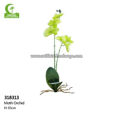 China Anti Fading 65cm Artificial Moth Orchid In Various Colors for sale