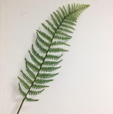 Cina Piante conservate in vaso artificiali di plastica Boston Fern Leaves For Decor del pavimento in vendita