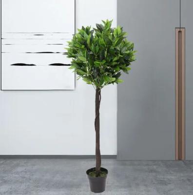 China Height 160cm Artificial Potted Floor Plants Plastic Laurel Tree for sale