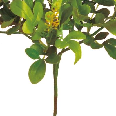 Cina Alto legno di bosso della pianta dell'ars topiaria di simulazione delle piante conservate in vaso artificiali realistiche del pavimento in vendita