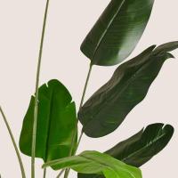 China Height 110cm Artificial Banana Tree Environmental Friendly for sale