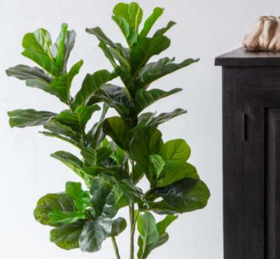 Cina Piante conservate in vaso artificiali Fiddle Ficus del pavimento di altezza del ODM 200cm in vendita