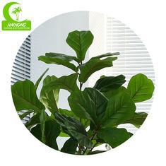 China Planta artificial del aterrizaje del árbol de los ficus de Pandurata de la altura natural del 120cm en venta