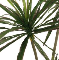 China Dracaena Marginata Artificial Landscape Trees For Home Office Decoration for sale