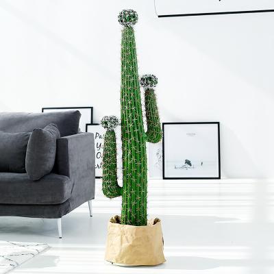 Cina altezza della pianta artificiale realistica del cactus della scuola dell'hotel 150cm conservato in vaso in vendita
