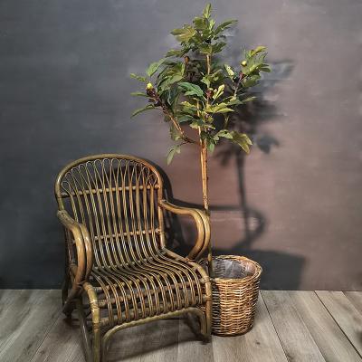 Cina Il pavimento conservato in vaso artificiale di altezza 155cm pianta il verde fresco del fico in vendita