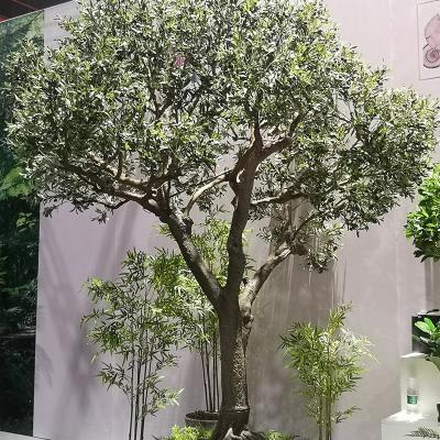 China Künstliches hohes natürliches kundenspezifisches Grün Olive Tree Ornament Potted Plants Art Decor zu verkaufen