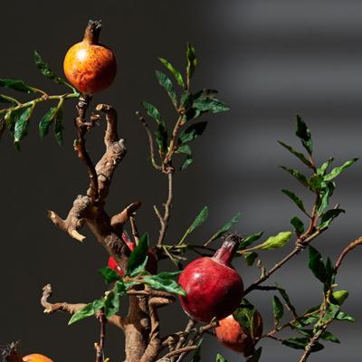 China Simulated Space Decor Artificial Pomegranate Tree Landing Bonsai Ornamental Greenery for sale
